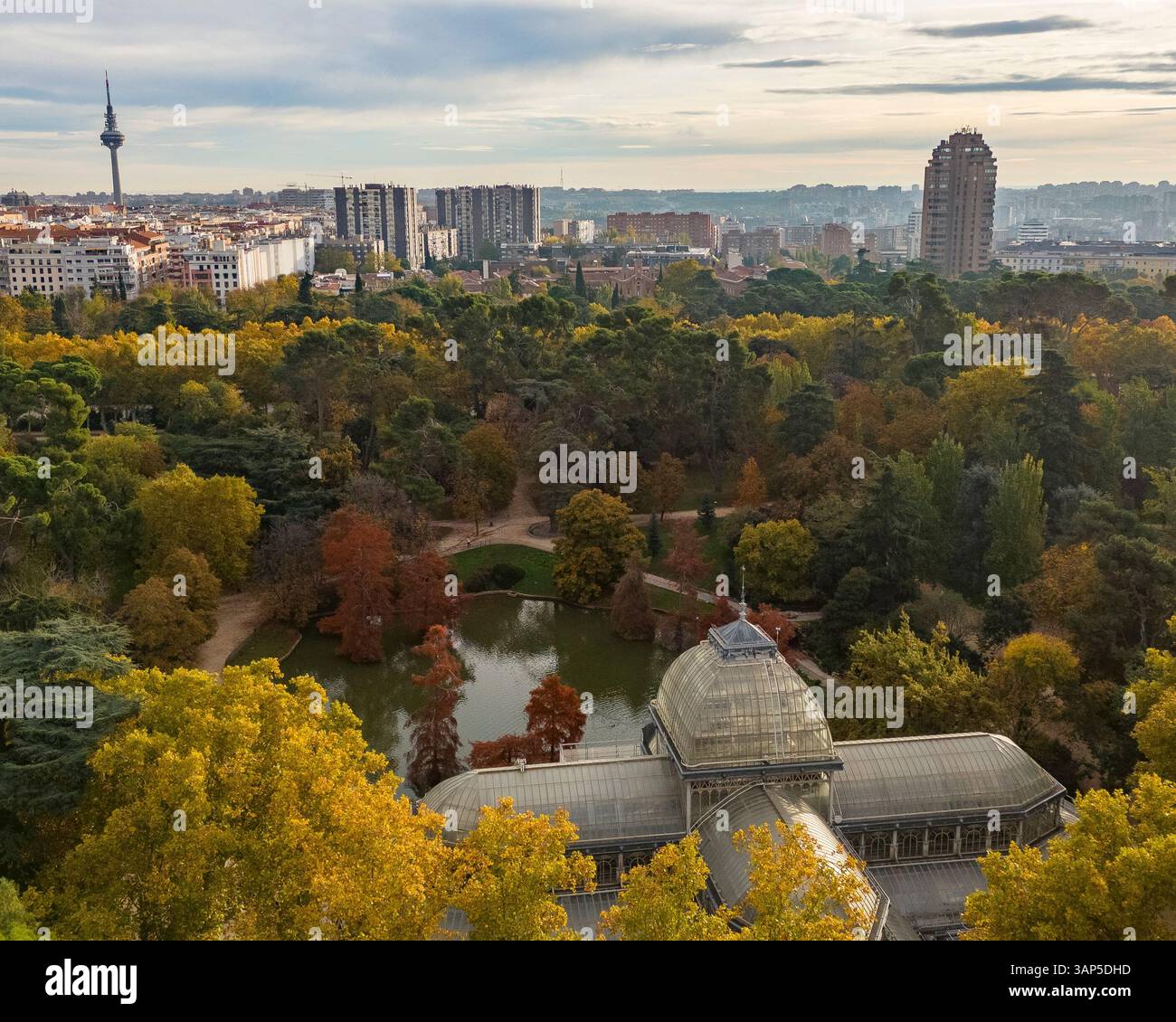 Aerial view of parque el retiro with palacio de cristal, trees, and ...
