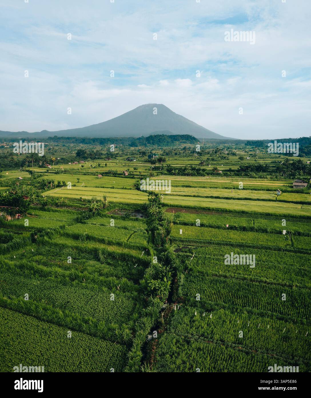 Aerial view of rice terraces in Bali with Mount Agung in background ...