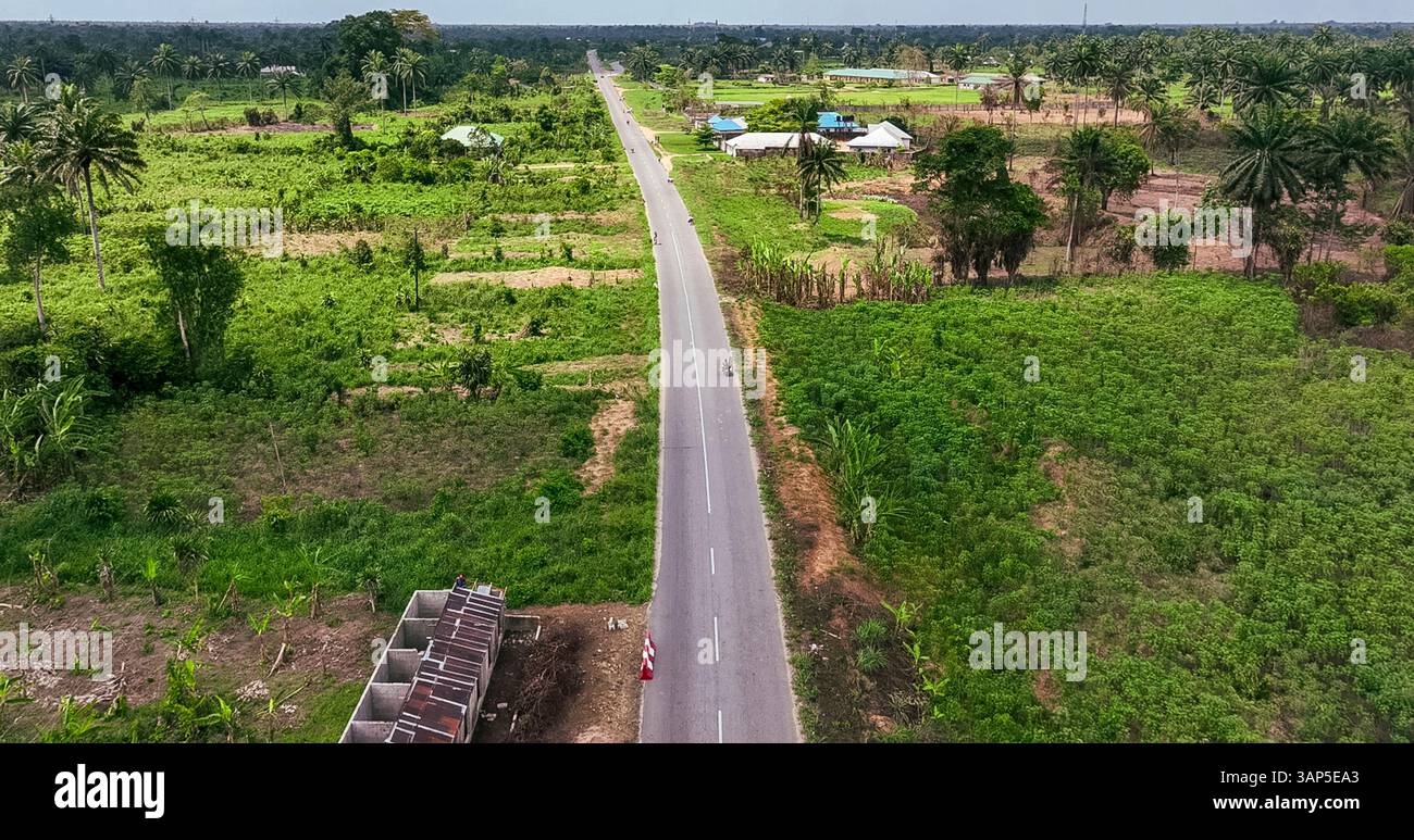 Aerial view of lush agricultural fields and palm trees along Ahoada ...