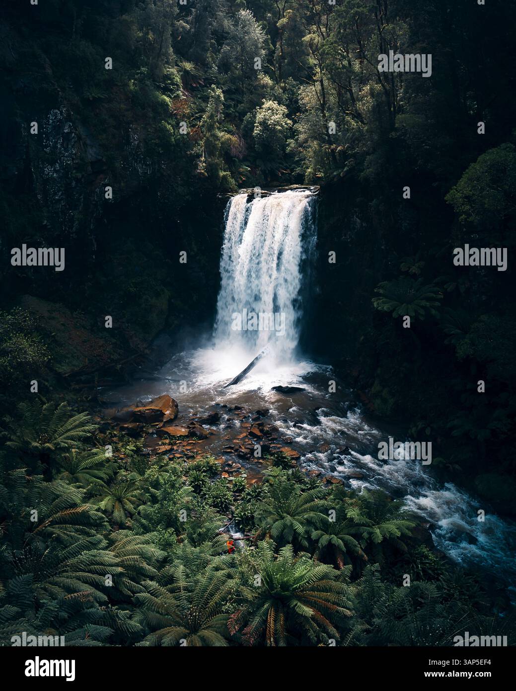 Aerial drone view of the victorian forest and waterfall in the Great ...