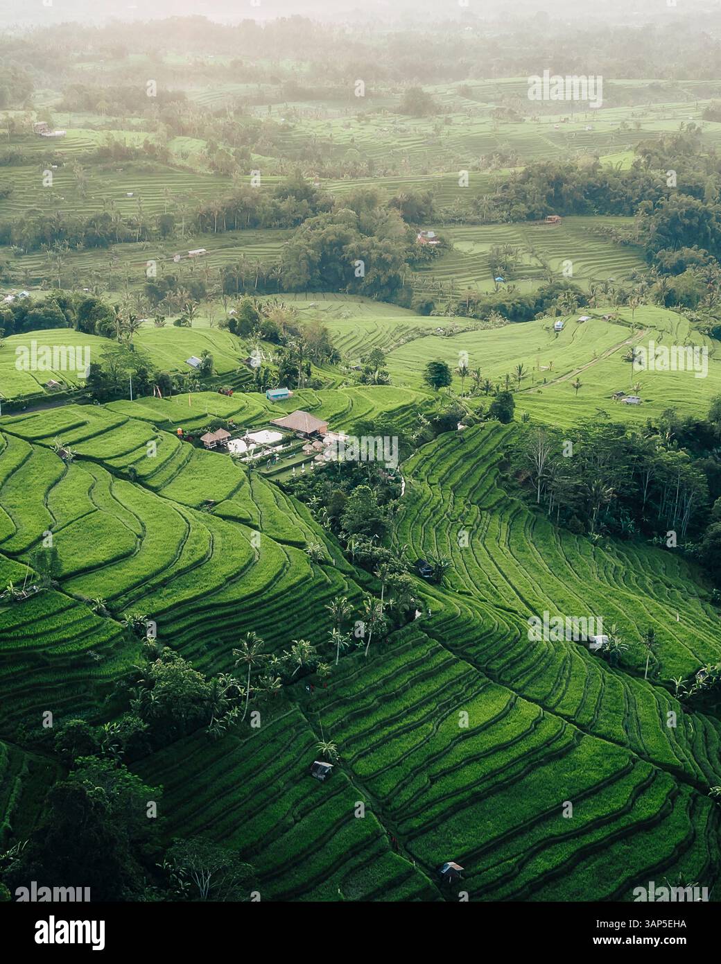 Aerial view of Bali ricefields, Penebel, Tabanan, Indonesia Stock Photo ...