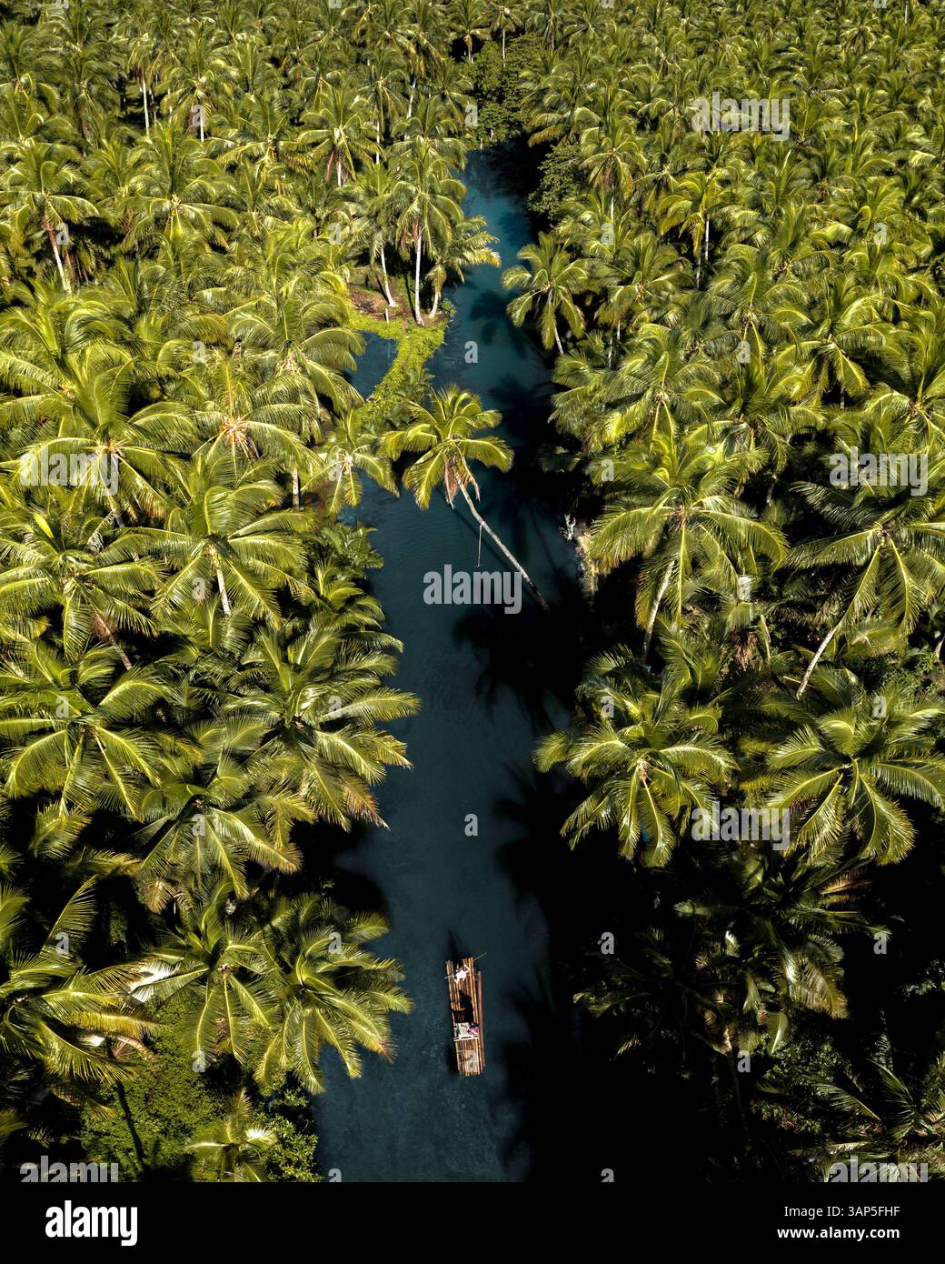 Aerial view of a raft boat sailing Maasin River with palm trees in ...