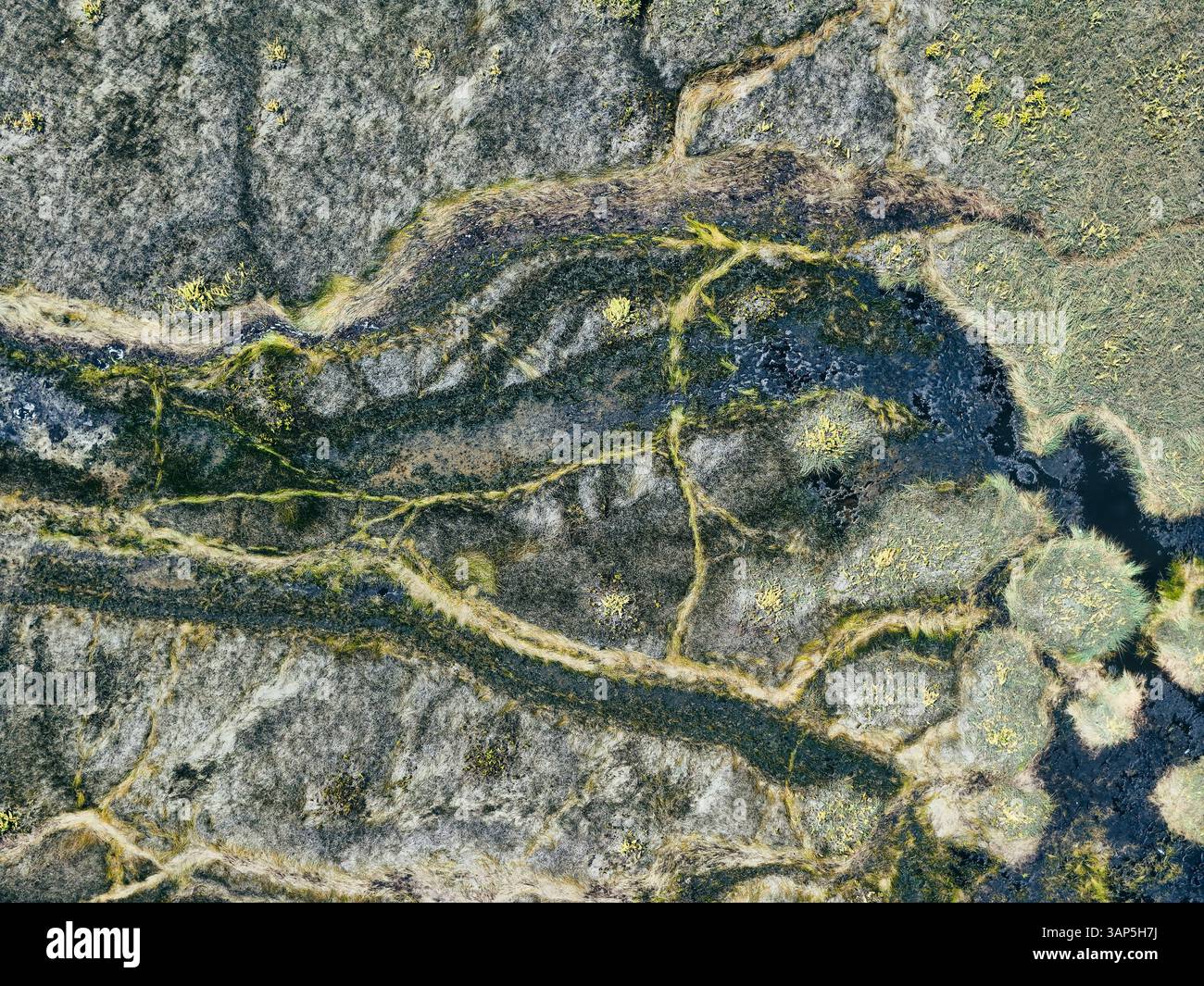 Aerial view of abstract patterns in a nature park featuring mud, swamp ...