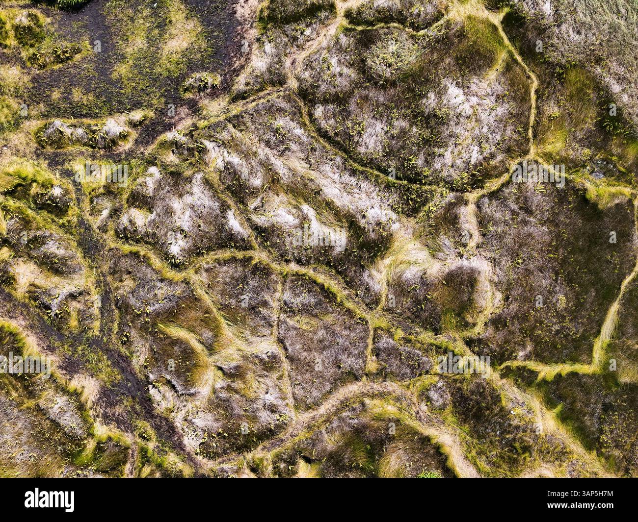 Aerial view of nature park with abstract patterns of mud, swamp, and ...