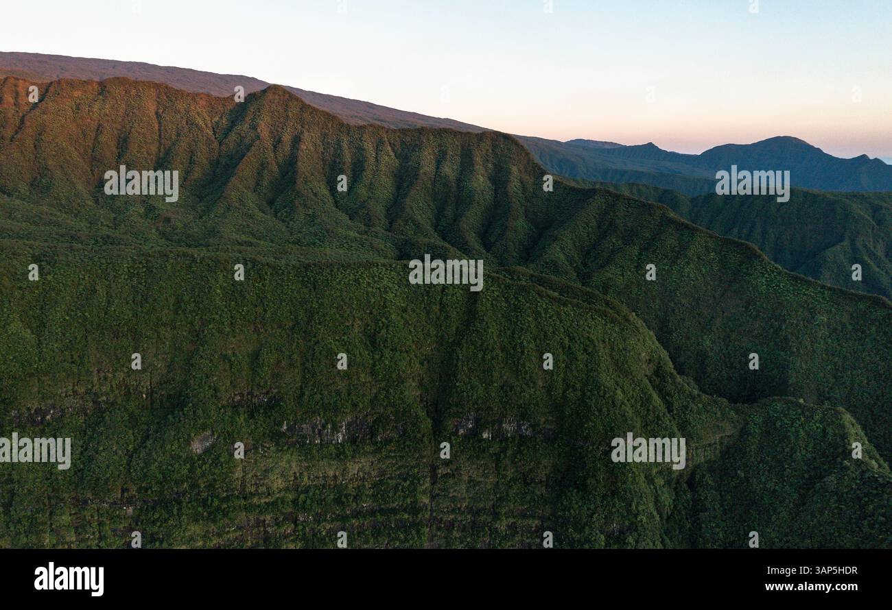 Aerial view of rugged mountains at sunrise with mist and fern trees ...