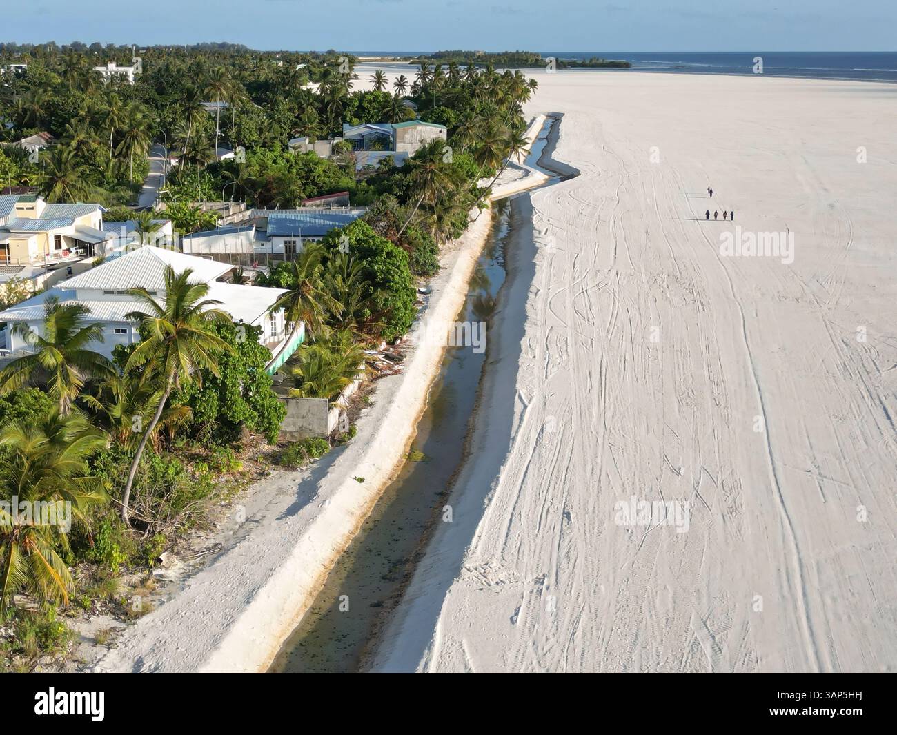 Aerial view of reclamation project with palm trees, houses, and people ...