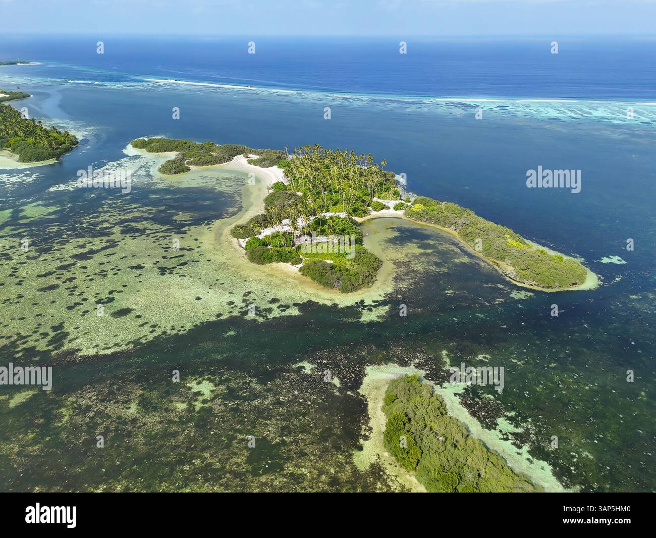Aerial view of tropical island with palm trees, reef, and swamp, Addu ...