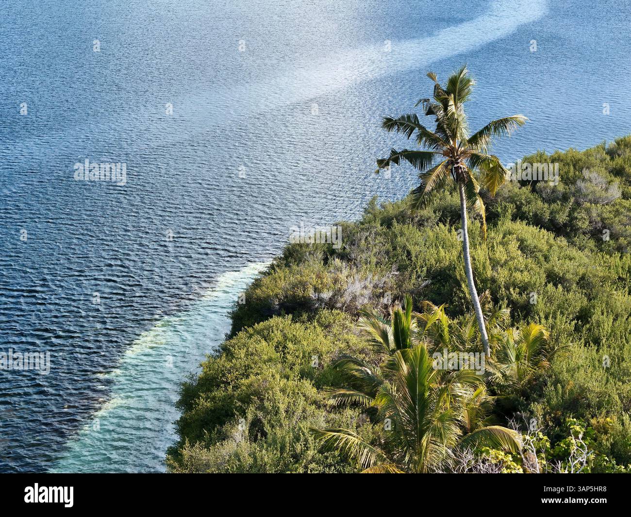 Aerial view of Addu Nature Park with palm trees and bush, Hithadhoo ...