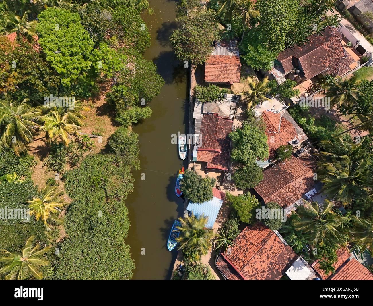 Aerial view of Hamilton Canal, palm trees, roof tops, boats, Negombo ...