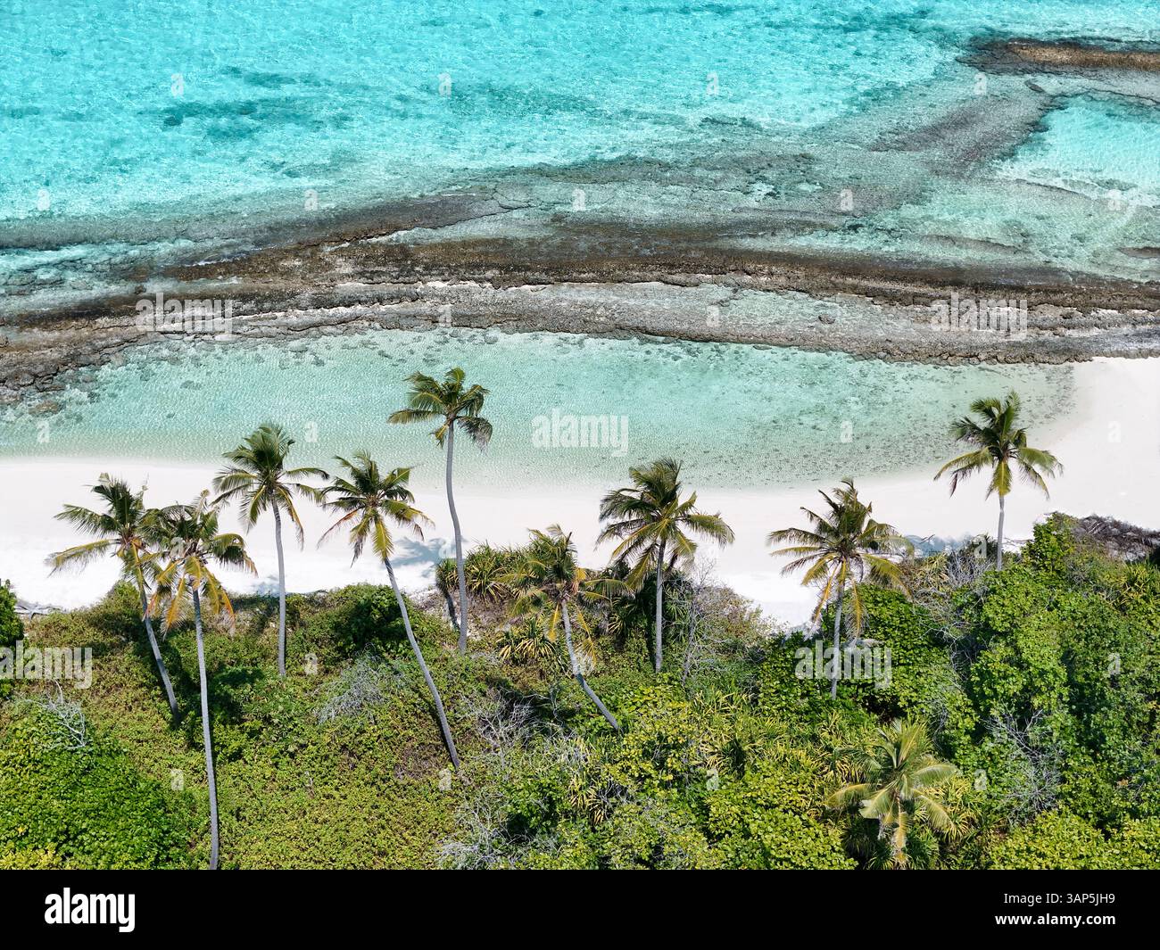 Aerial view of beautiful beach on Innafinolhu Island, Haa Alif ...