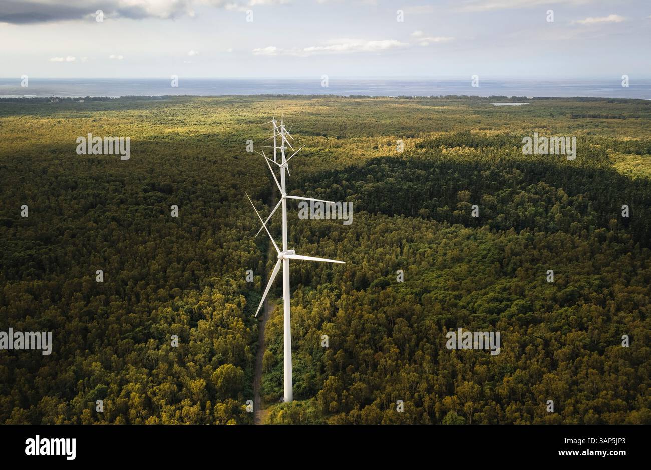 Aerial drone view of wind turbines in a tropical forest, Bras d'Eau ...