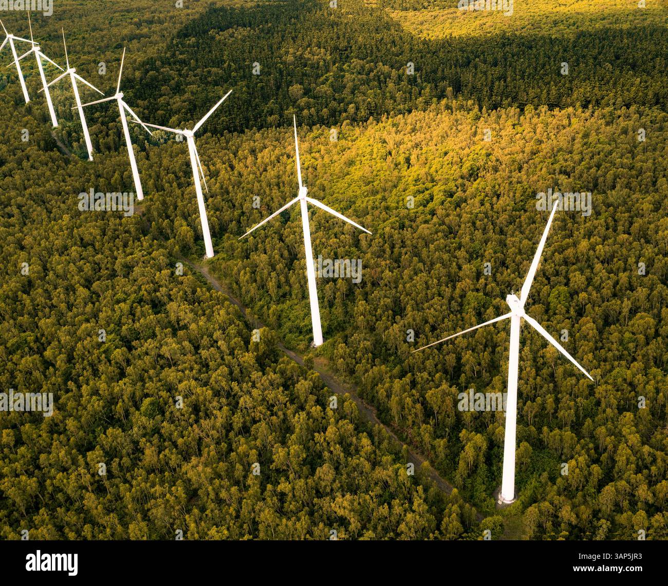 Aerial drone view of wind turbines in a tropical forest, Bras d'Eau ...