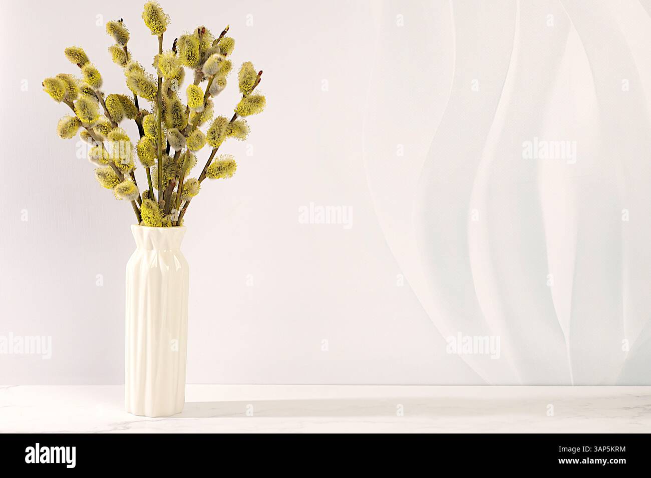 Delicate willow branches in vase on elegant background, abstract spring ...