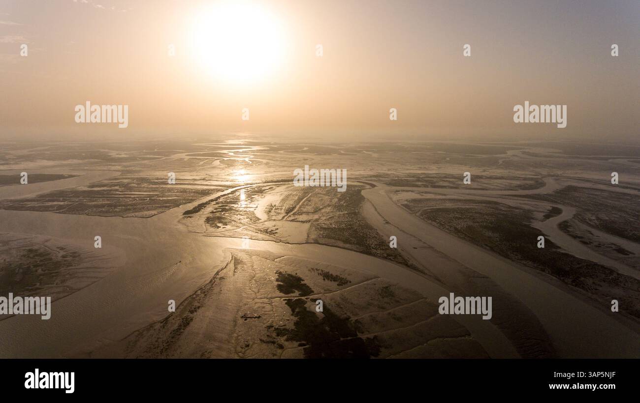 Aerial view of tranquil mangroves reflecting the sunset over serene ...