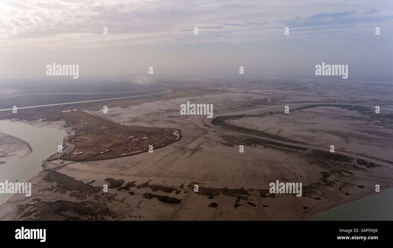 Aerial view of mangroves in a serene wetland landscape with a river ...
