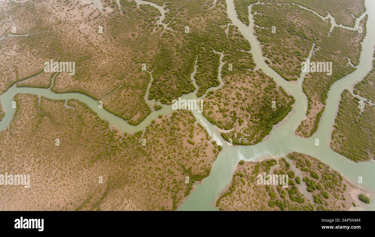 Aerial view of beautiful mangroves and serpentine river in wetlands ...