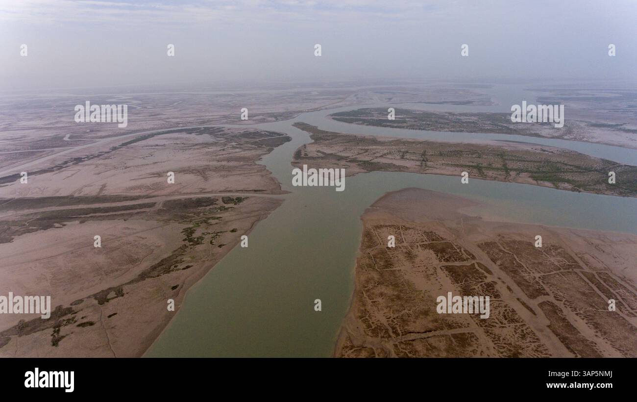 Aerial view of lush mangroves along a clear river in a vibrant wetland ...