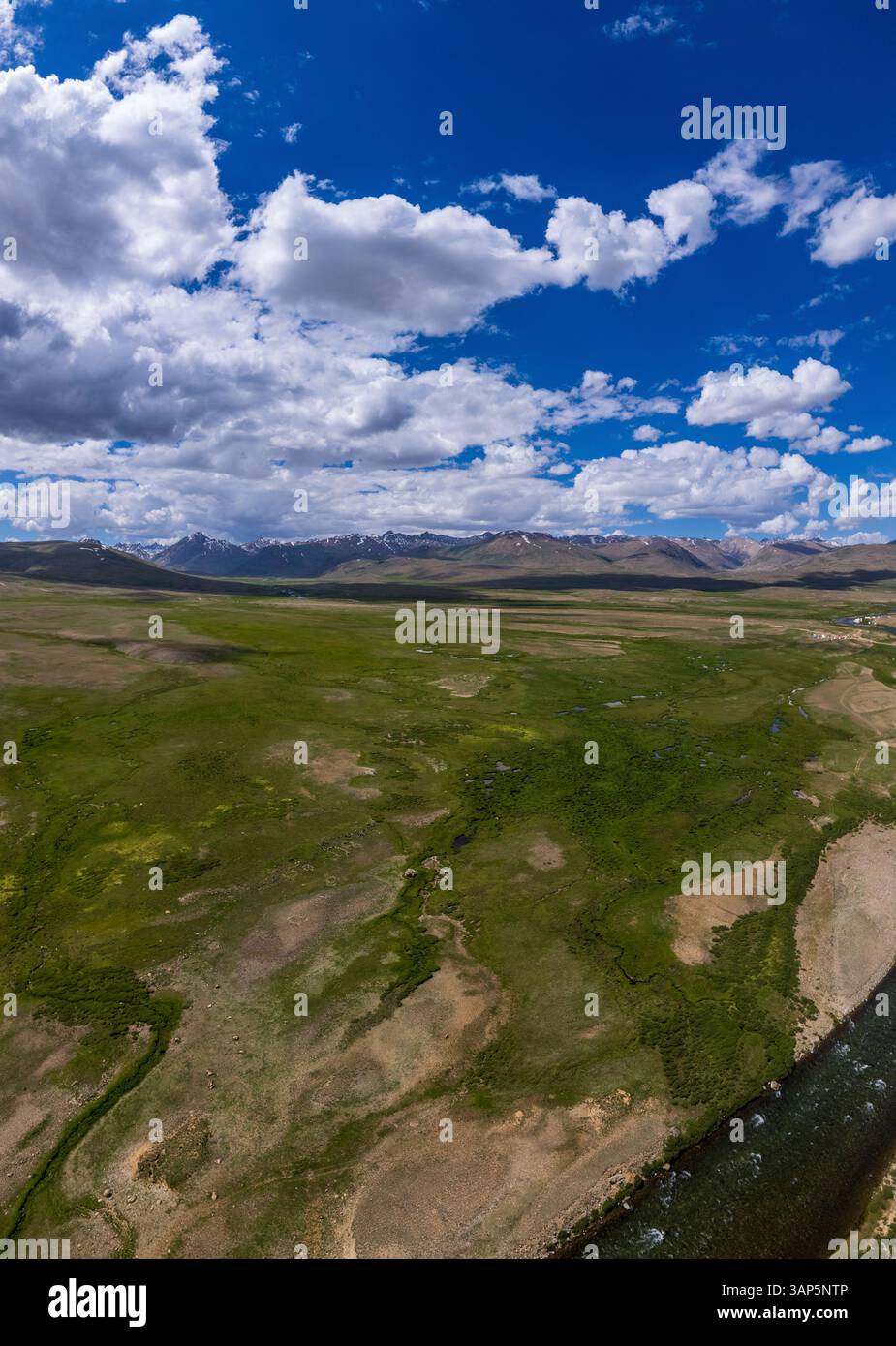 Aerial view of expansive deosai plains with majestic mountains and ...