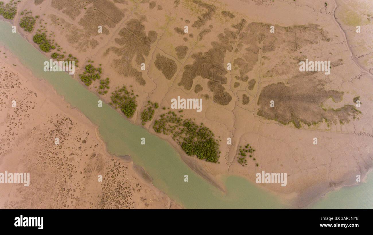 Aerial view of beautiful mangroves and river landscape with natural ...