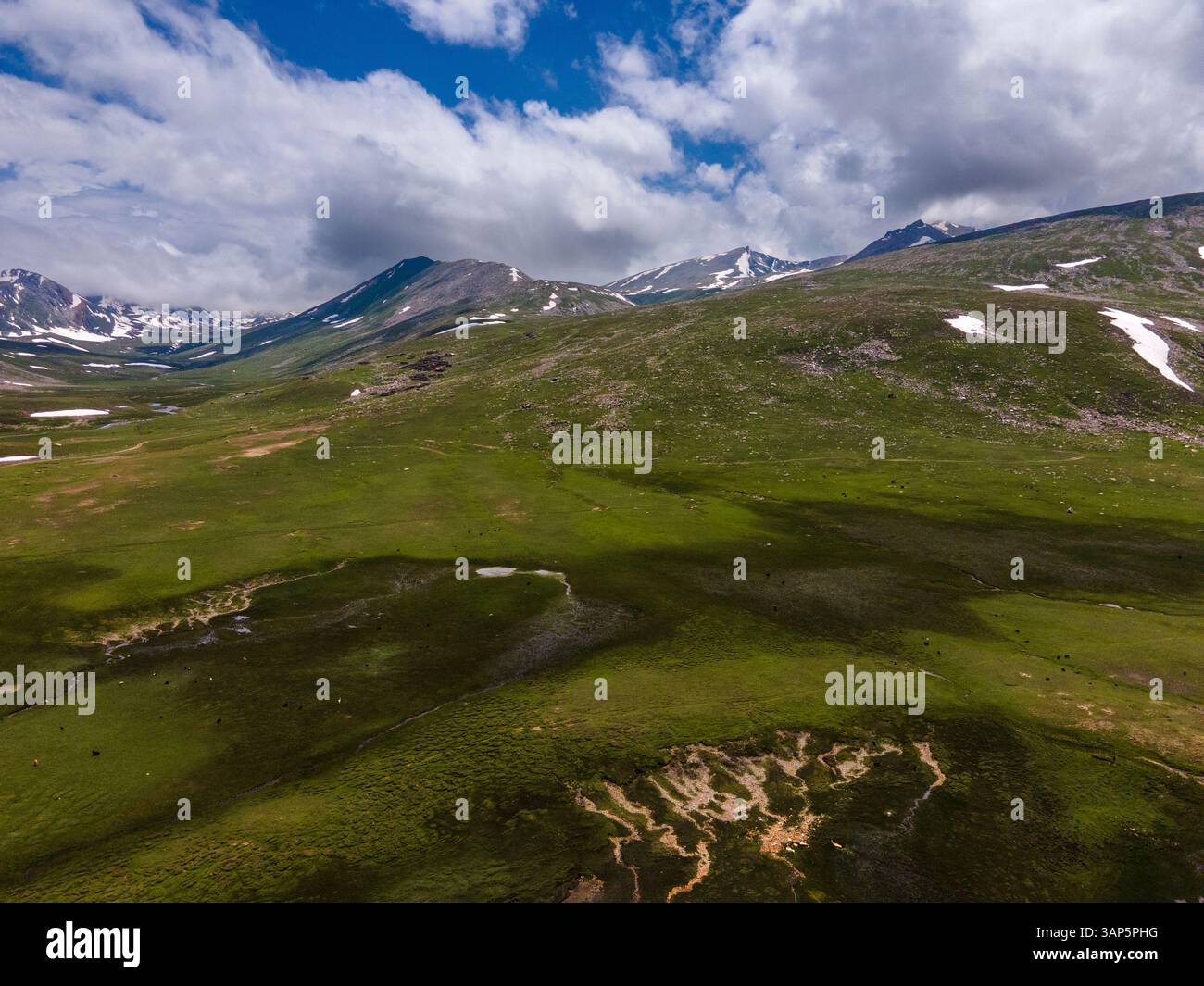 Aerial view of majestic snowy mountains and lush green grassland under ...