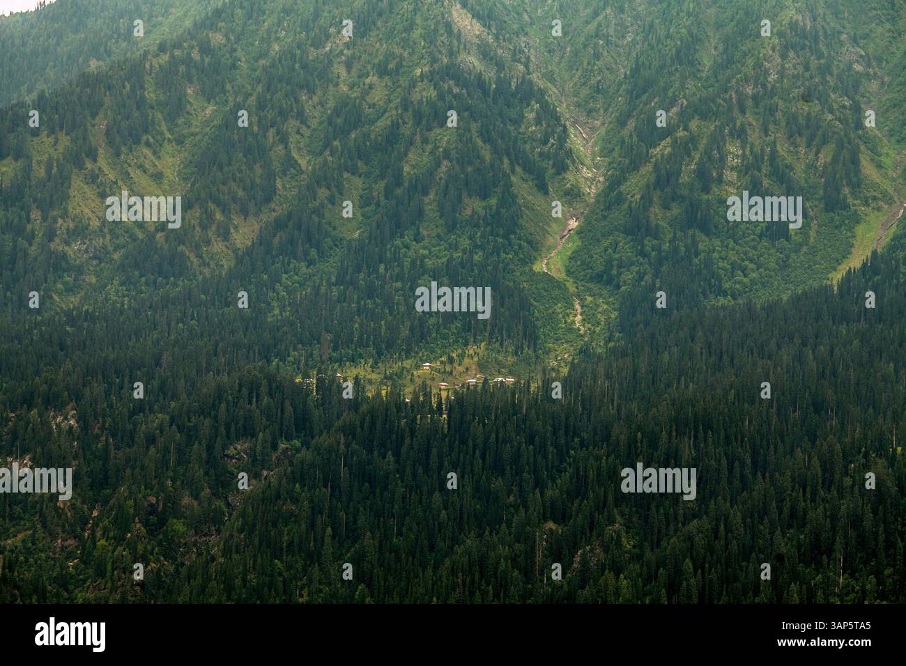 Aerial view of lush green forest, majestic mountains, and serene valley ...