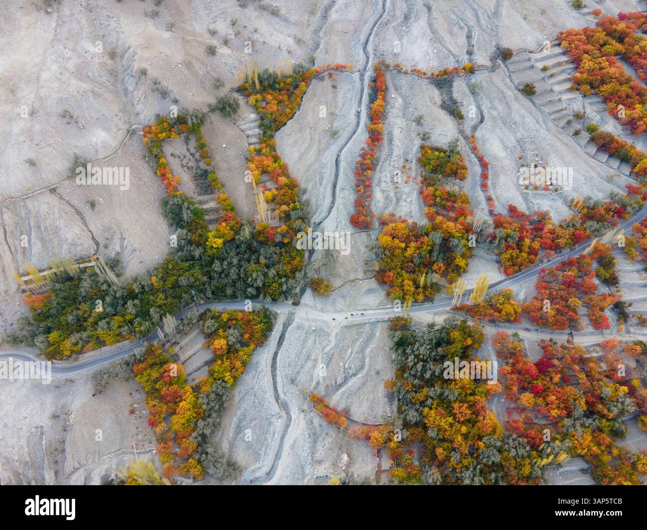 Aerial view of vibrant autumn valley with river and mountain, Machulo ...