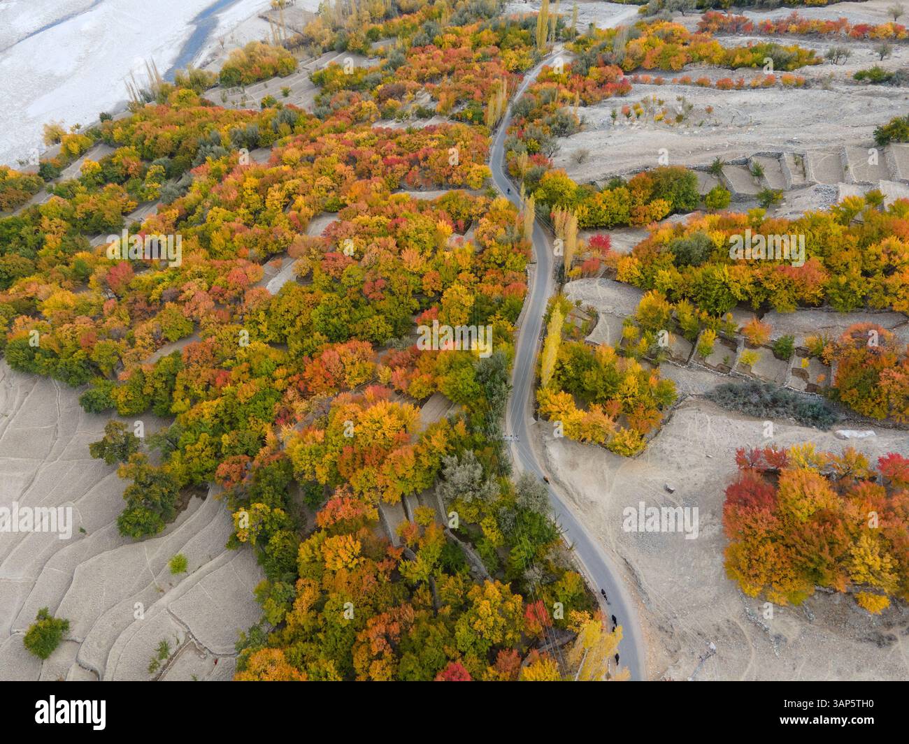Aerial view of vibrant autumn forest and winding road in mountain ...