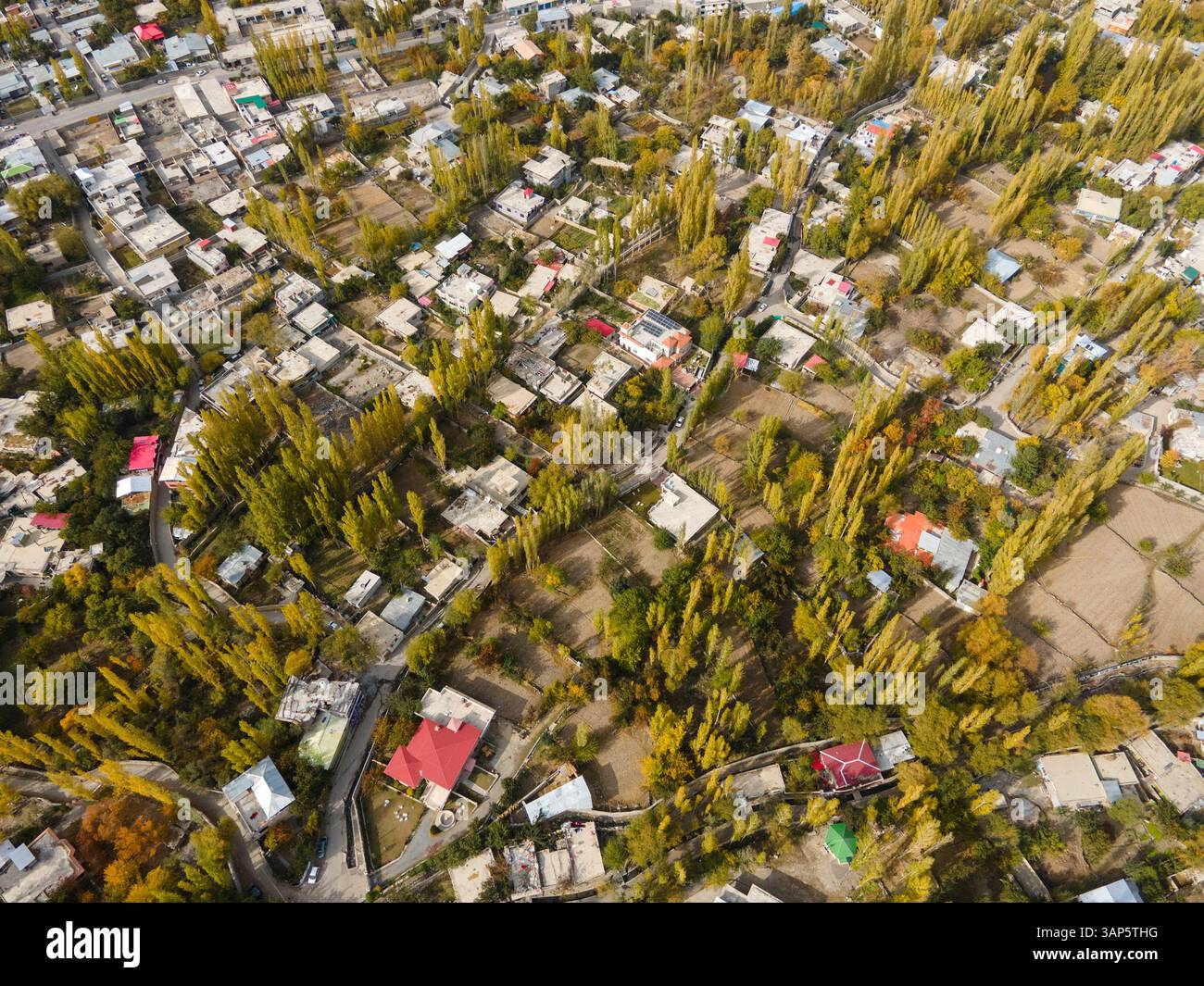 Aerial view of village with houses, trees, and buildings in Skardu ...