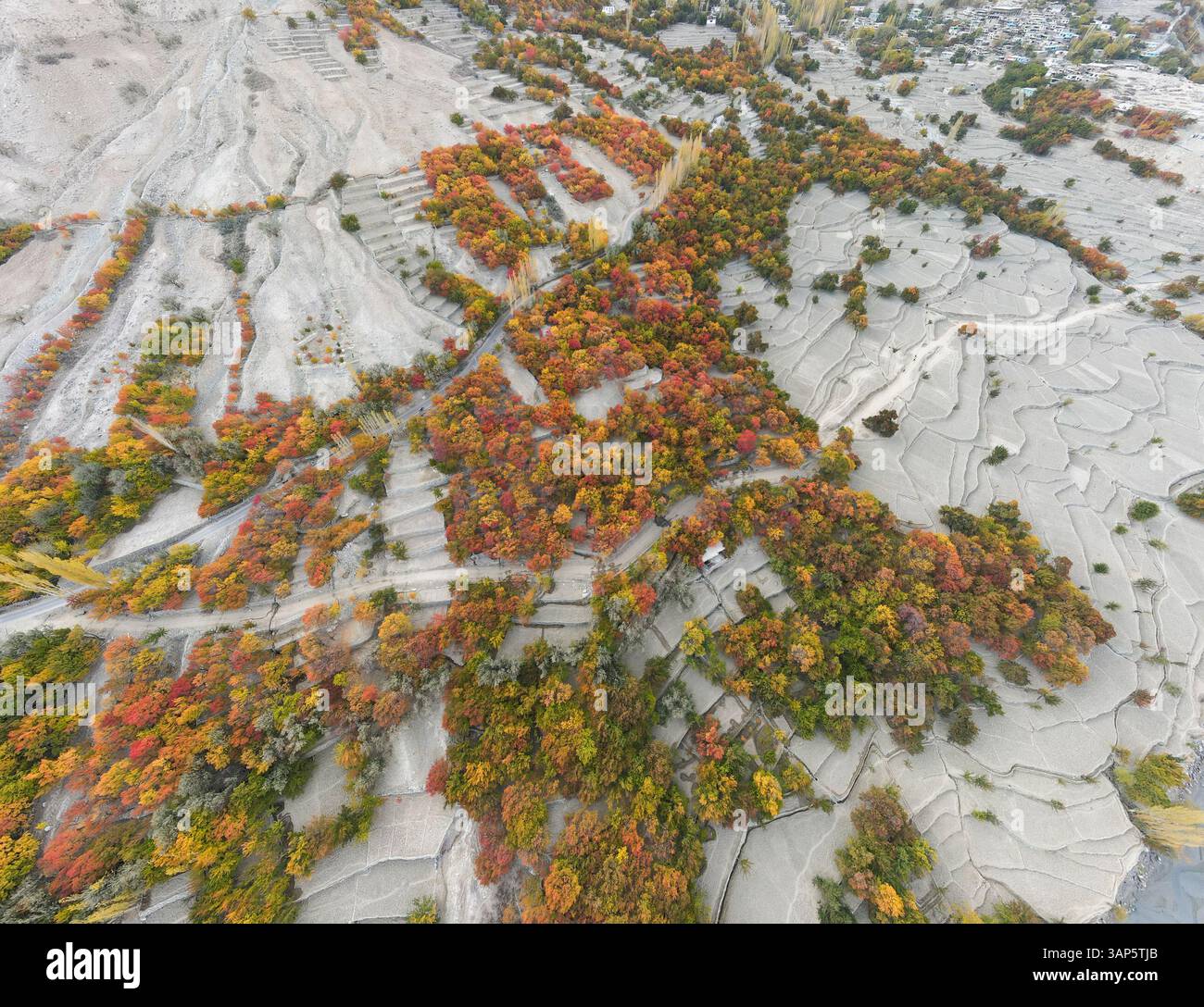 Aerial view of colorful autumn forest and vibrant foliage in Machulo La ...