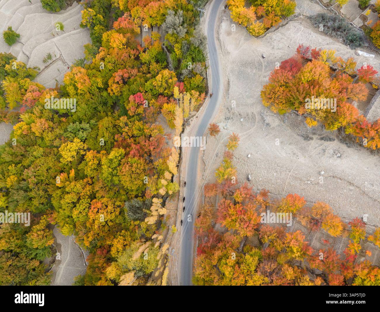Aerial view of vibrant autumn foliage and winding road in Machulo La ...
