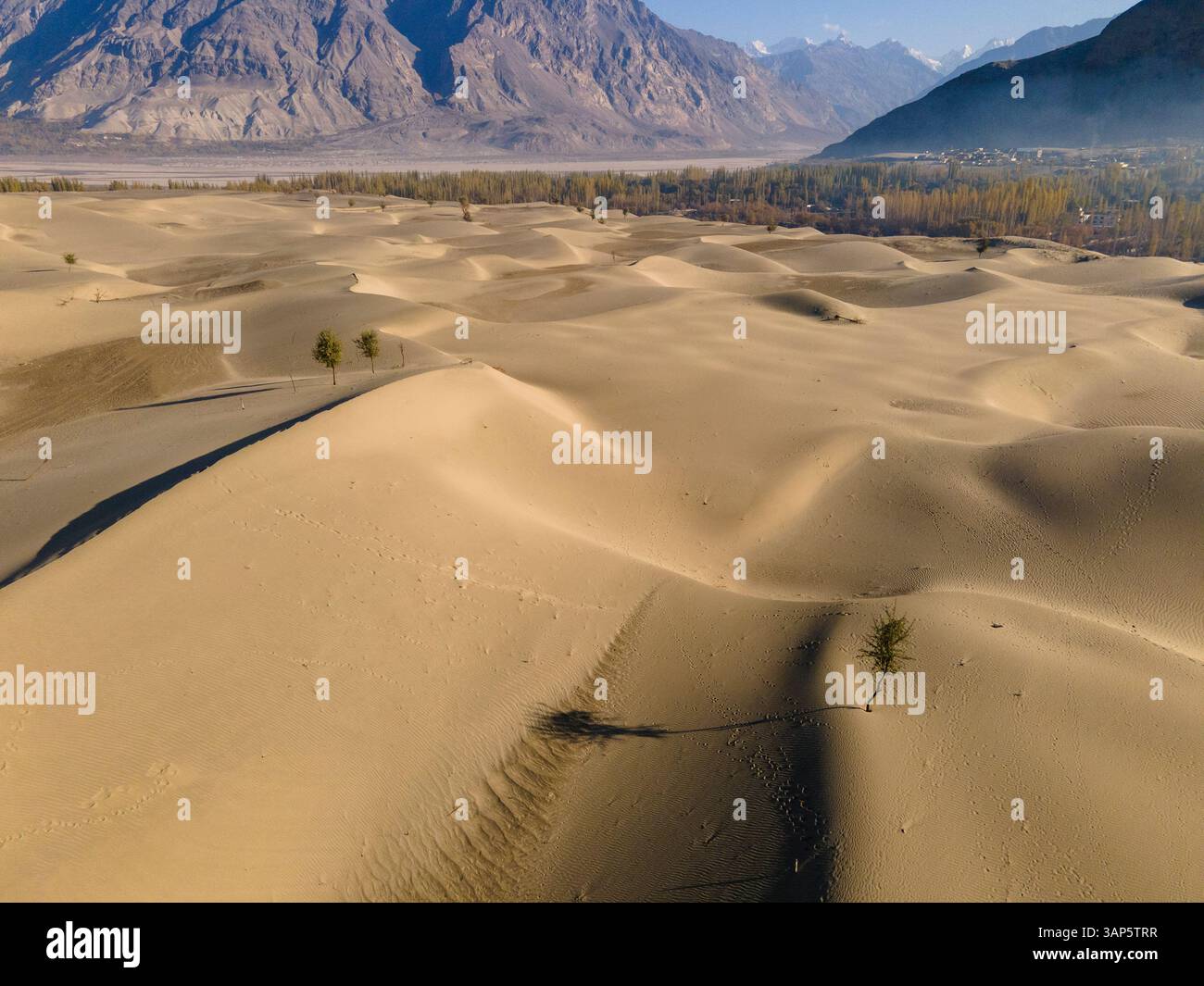Aerial view of Katpana Desert with palm trees, mountains, and sand ...