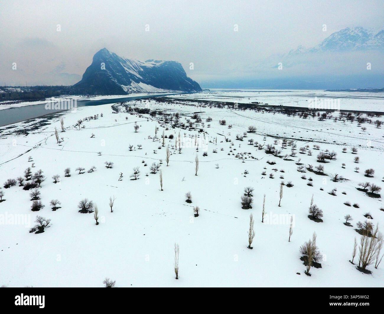 Aerial view of snow-covered field and trees in serene Skardu, Punjab ...