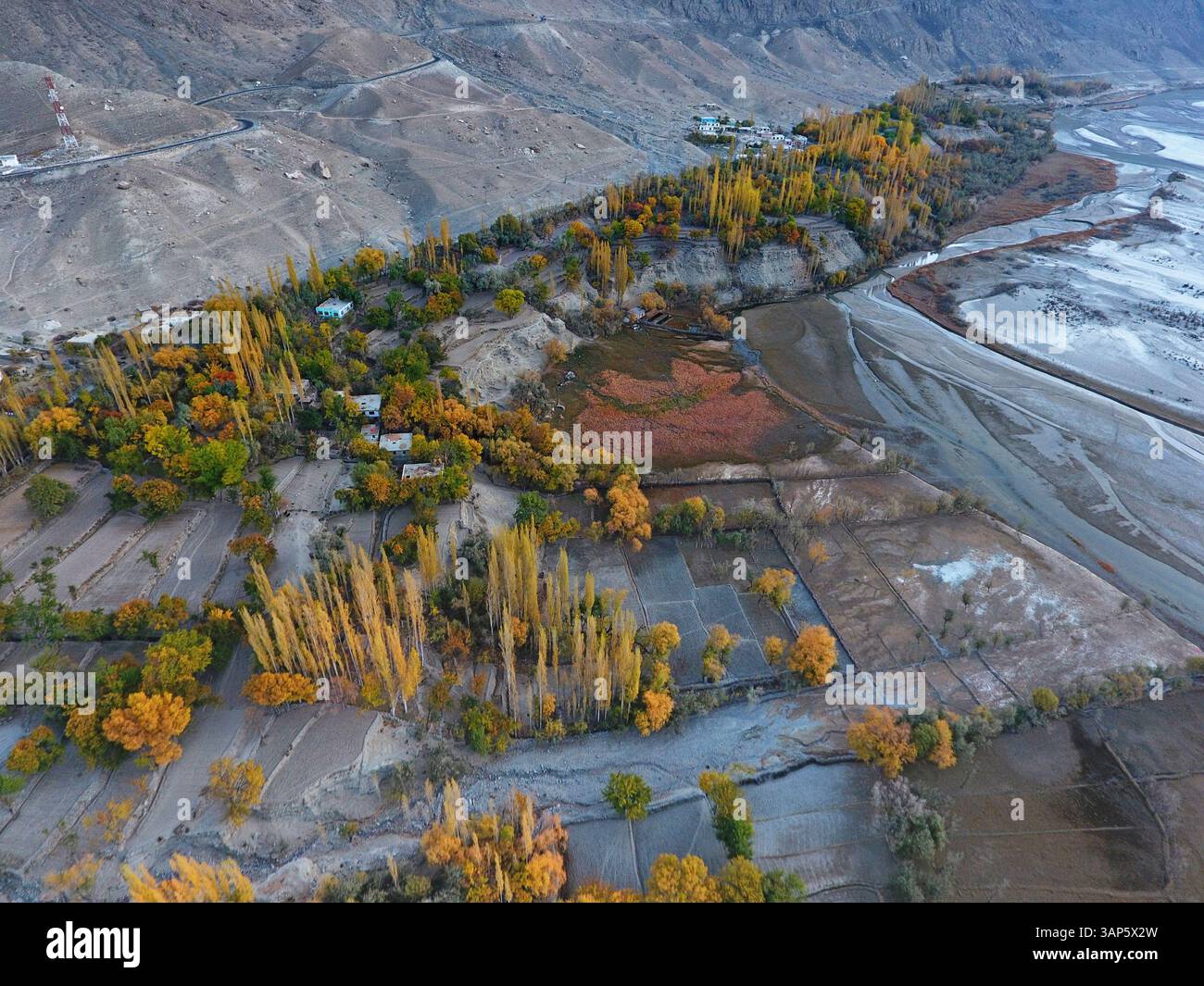 Aerial view of remote village surrounded by trees, river, and fields in ...