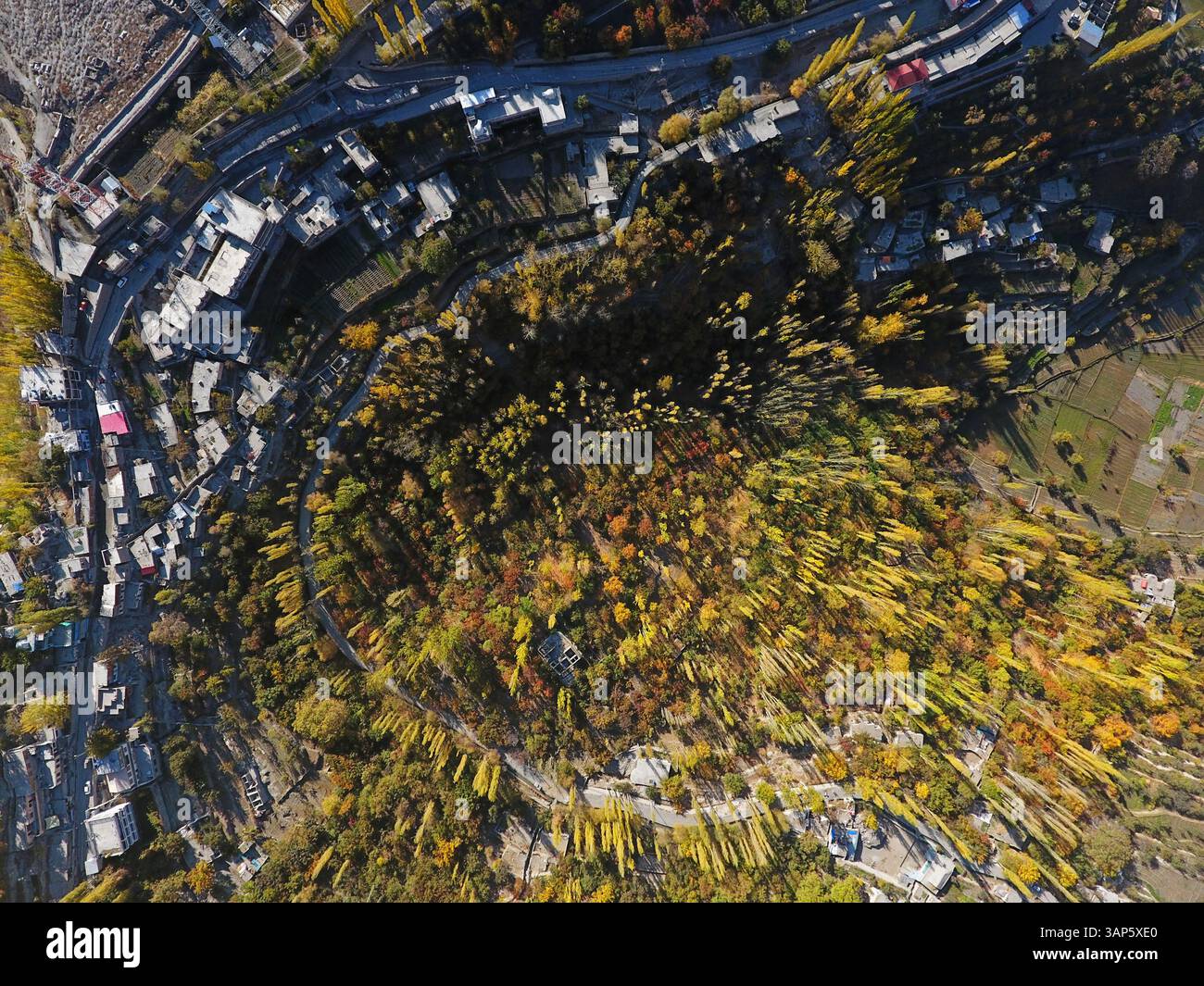 Aerial view of colorful autumn village surrounded by forest and ...