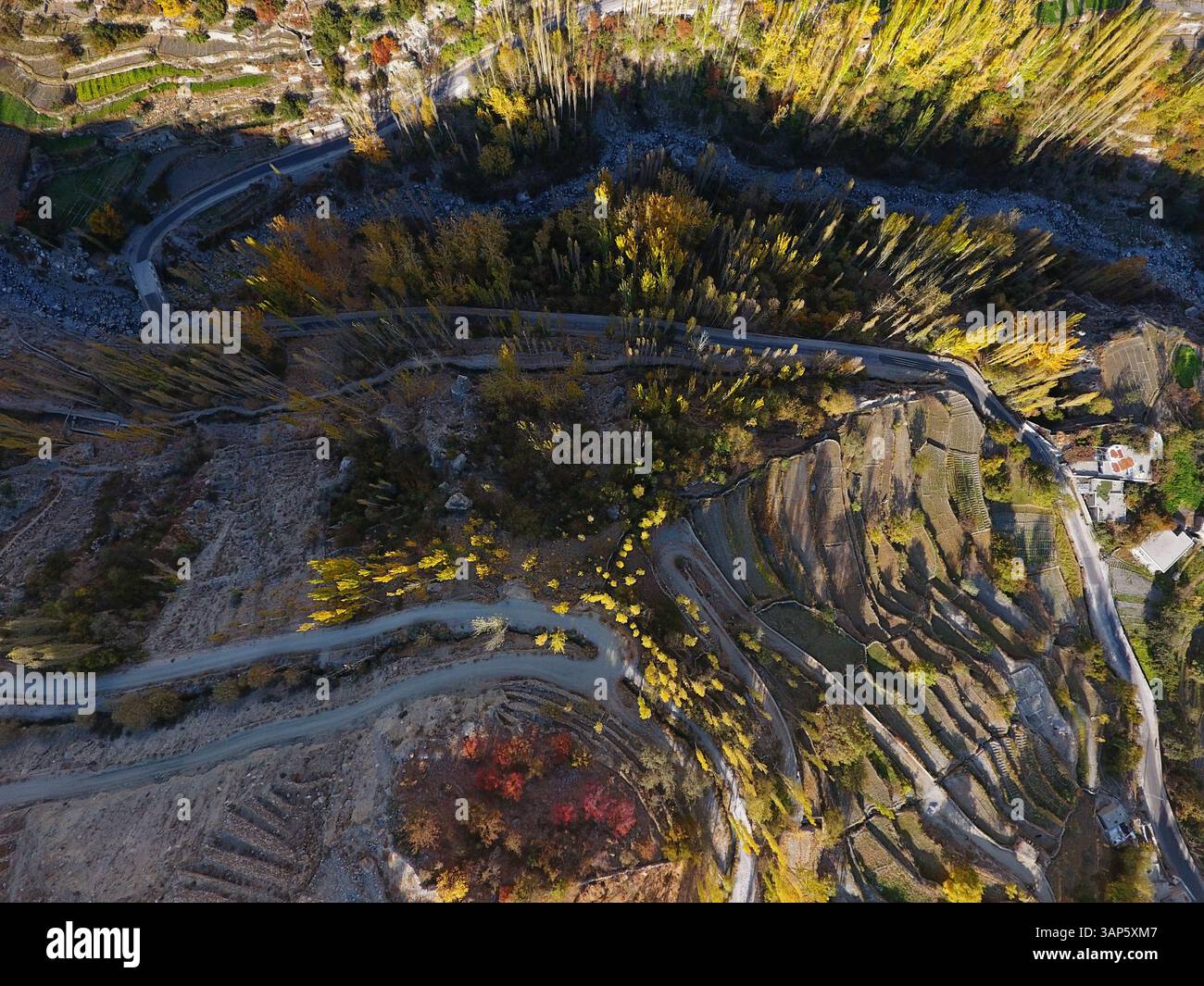 Aerial view of vibrant autumn foliage in Hunza Valley, Gilgit-Baltistan ...