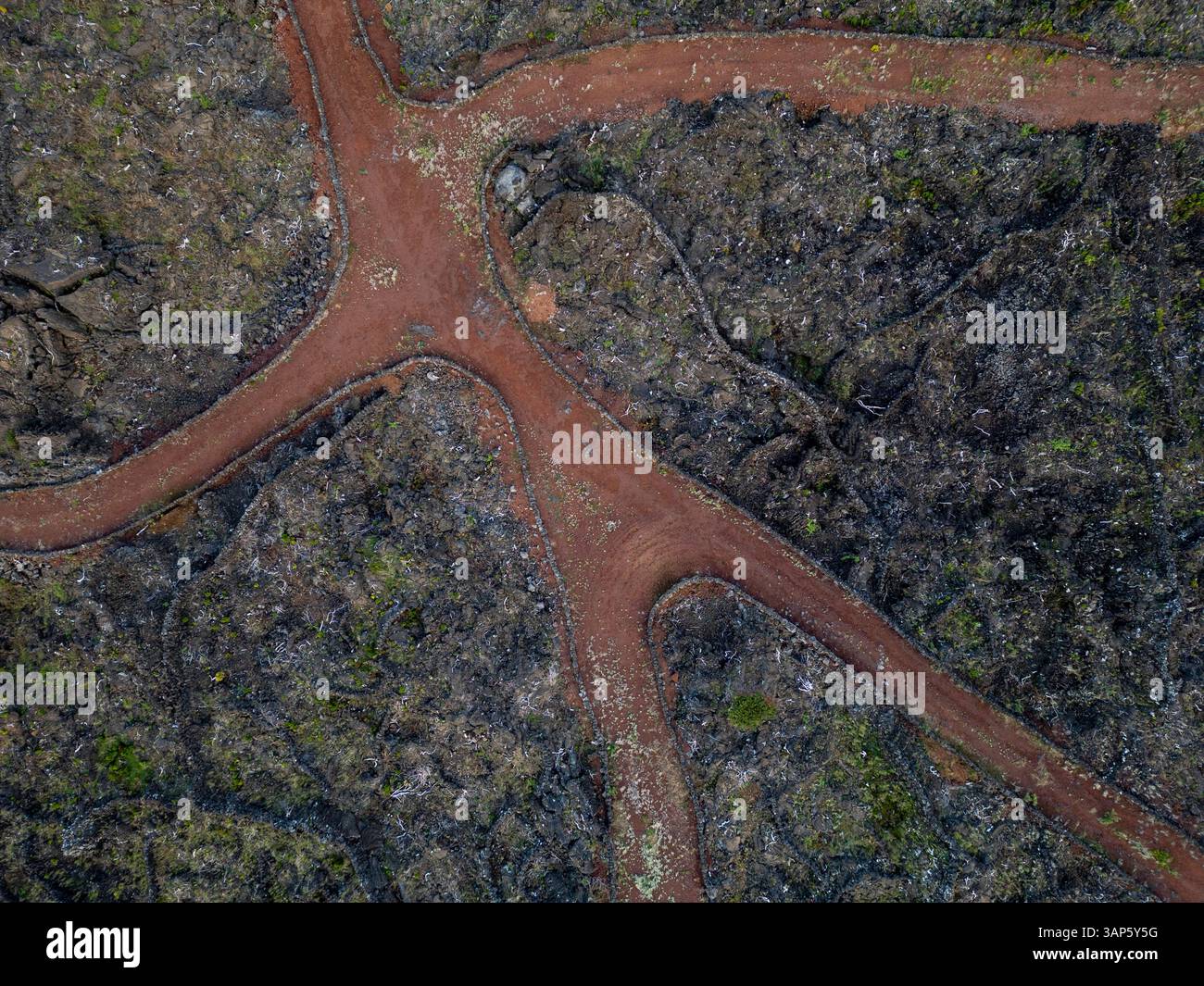 Aerial view of ancient volcanic vineyards with rugged terrain and ...