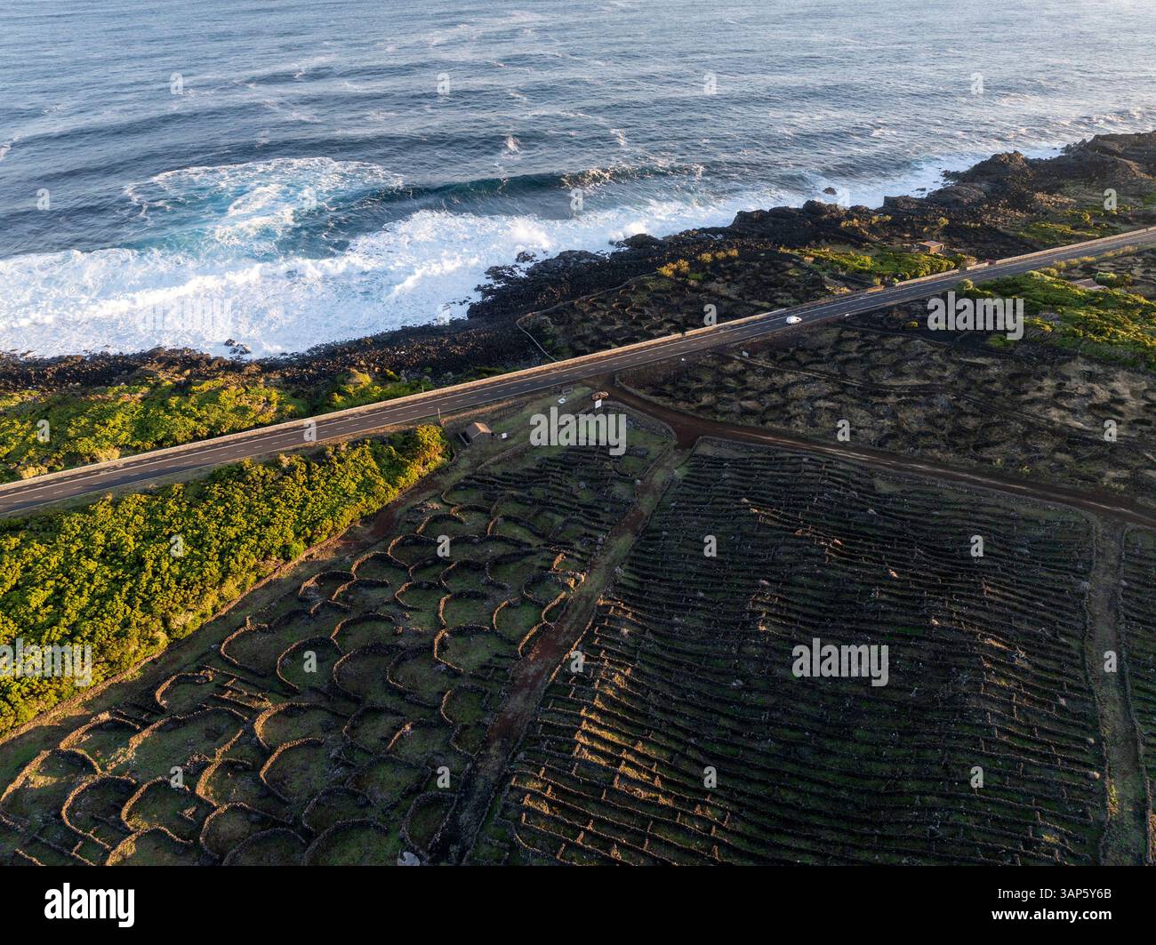 Aerial view of ancient volcanic vineyards along the rugged coastline ...