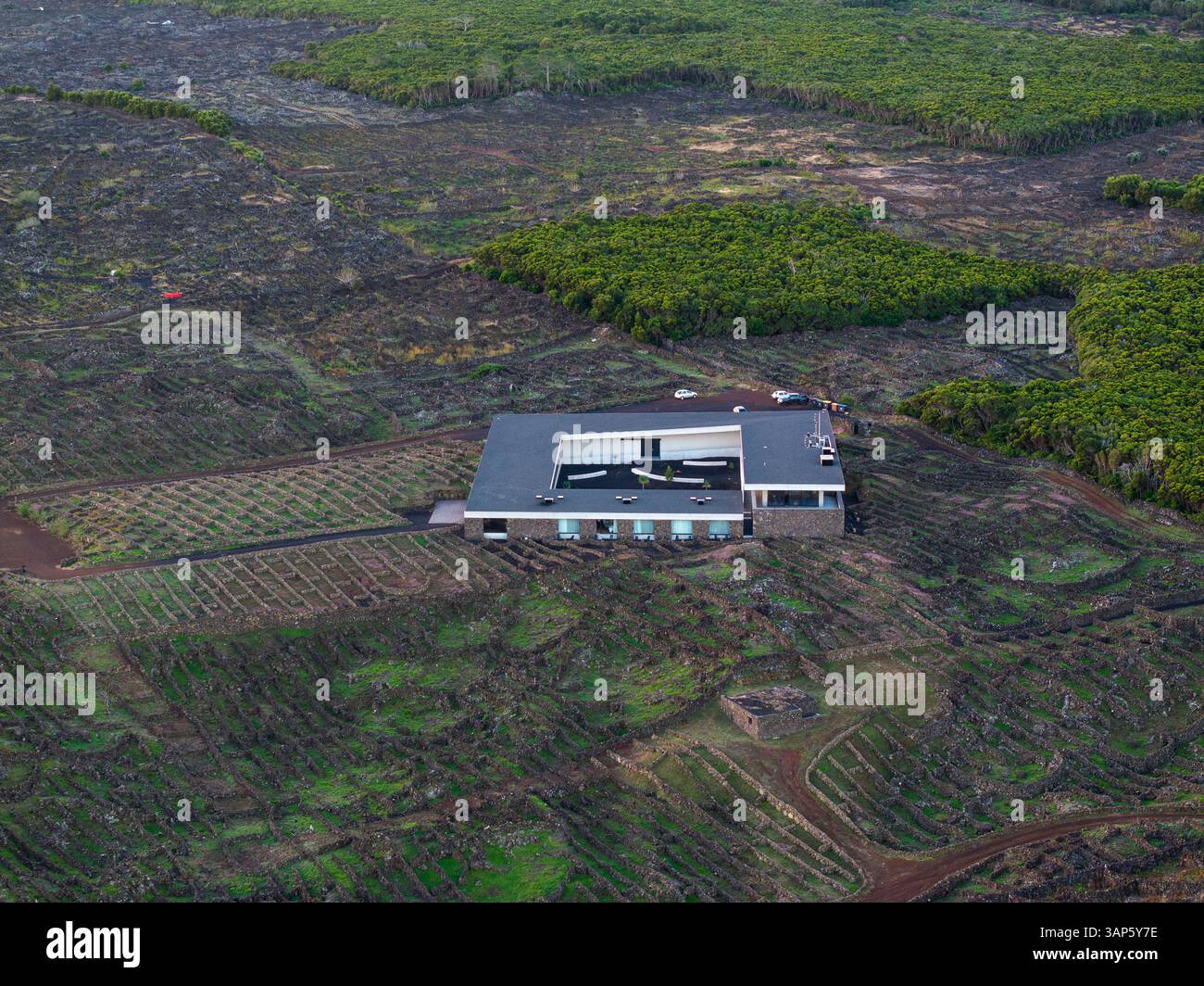 Aerial view of ancient volcanic vineyards with beautiful patterns in a ...