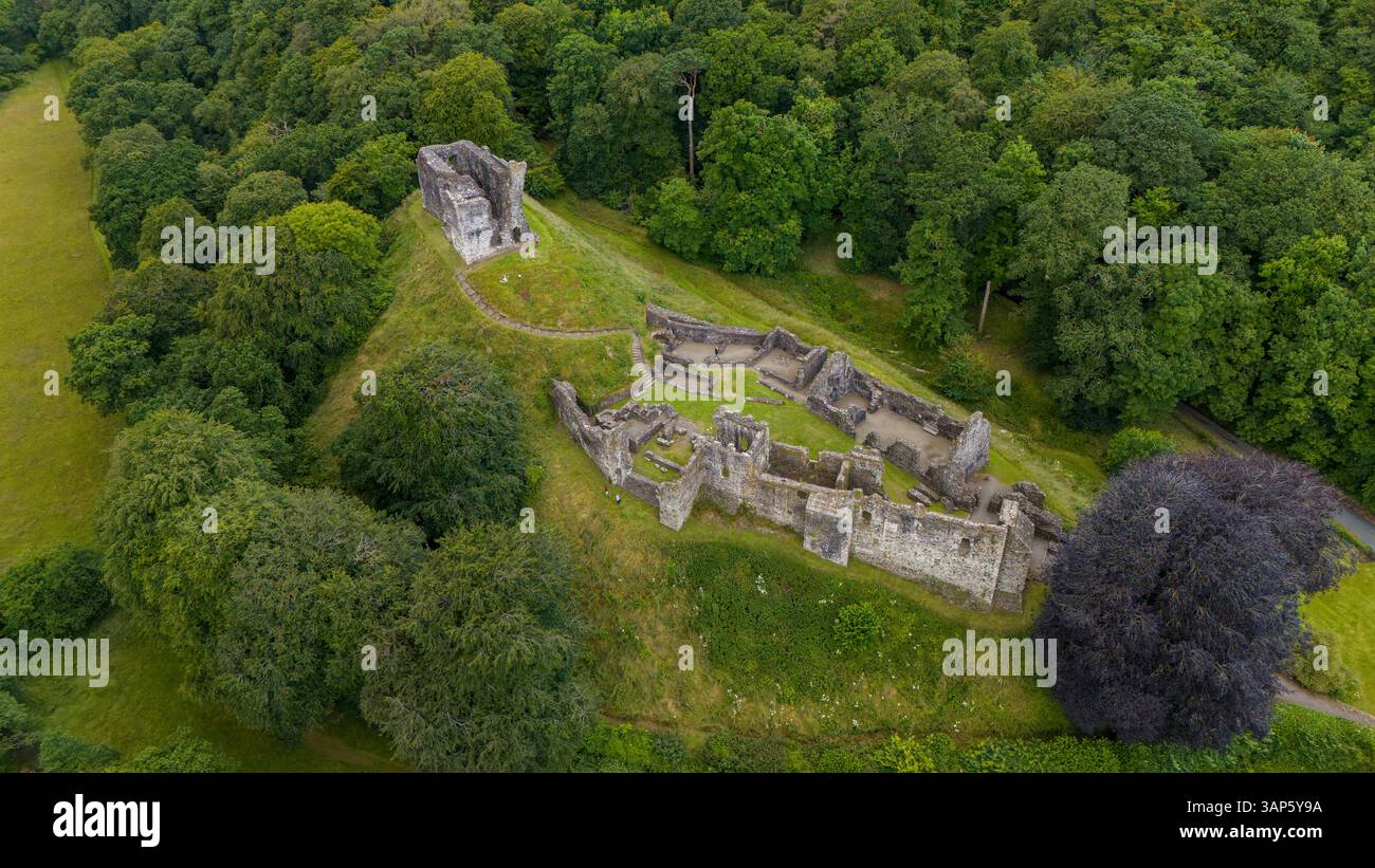 Aerial view of okehampton castle ruins surrounded by lush greenery and ...