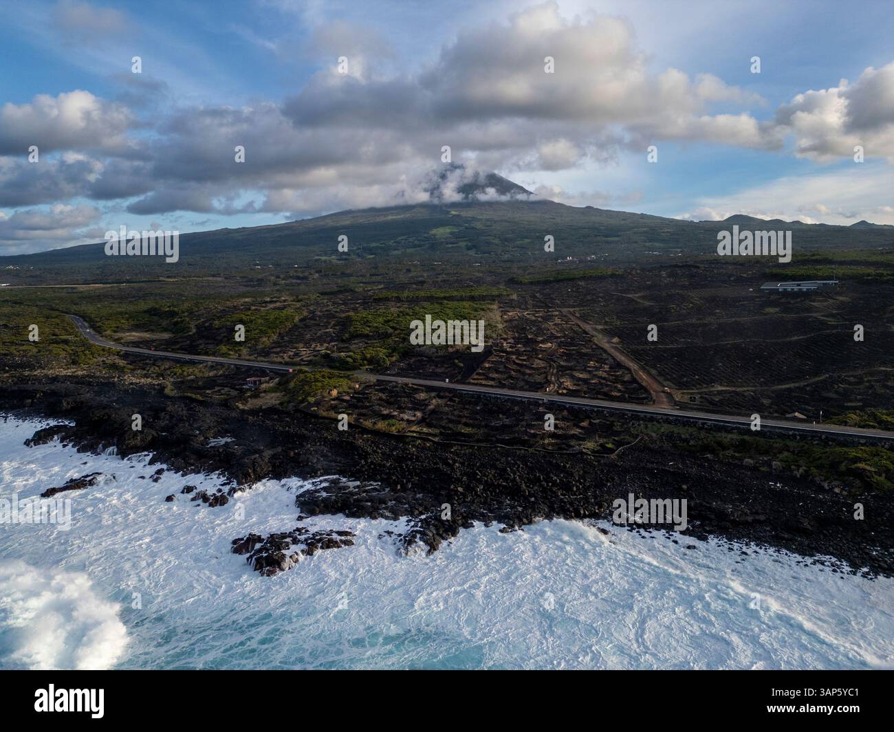 Aerial view of ancient volcanic vineyards with rugged cliffs and ...