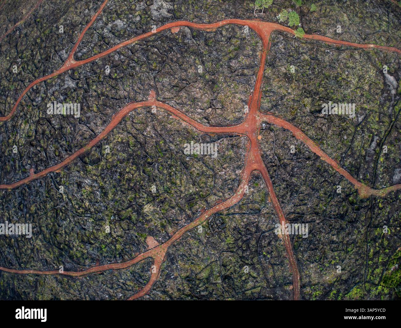 Aerial view of ancient volcanic vineyards with beautiful patterns and ...