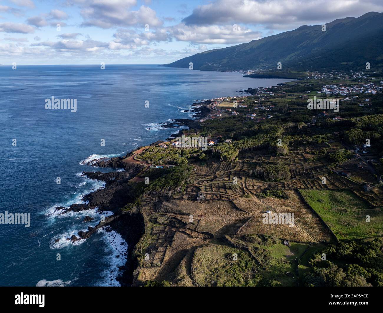 Aerial view of ancient volcanic vineyards and picturesque coastline ...