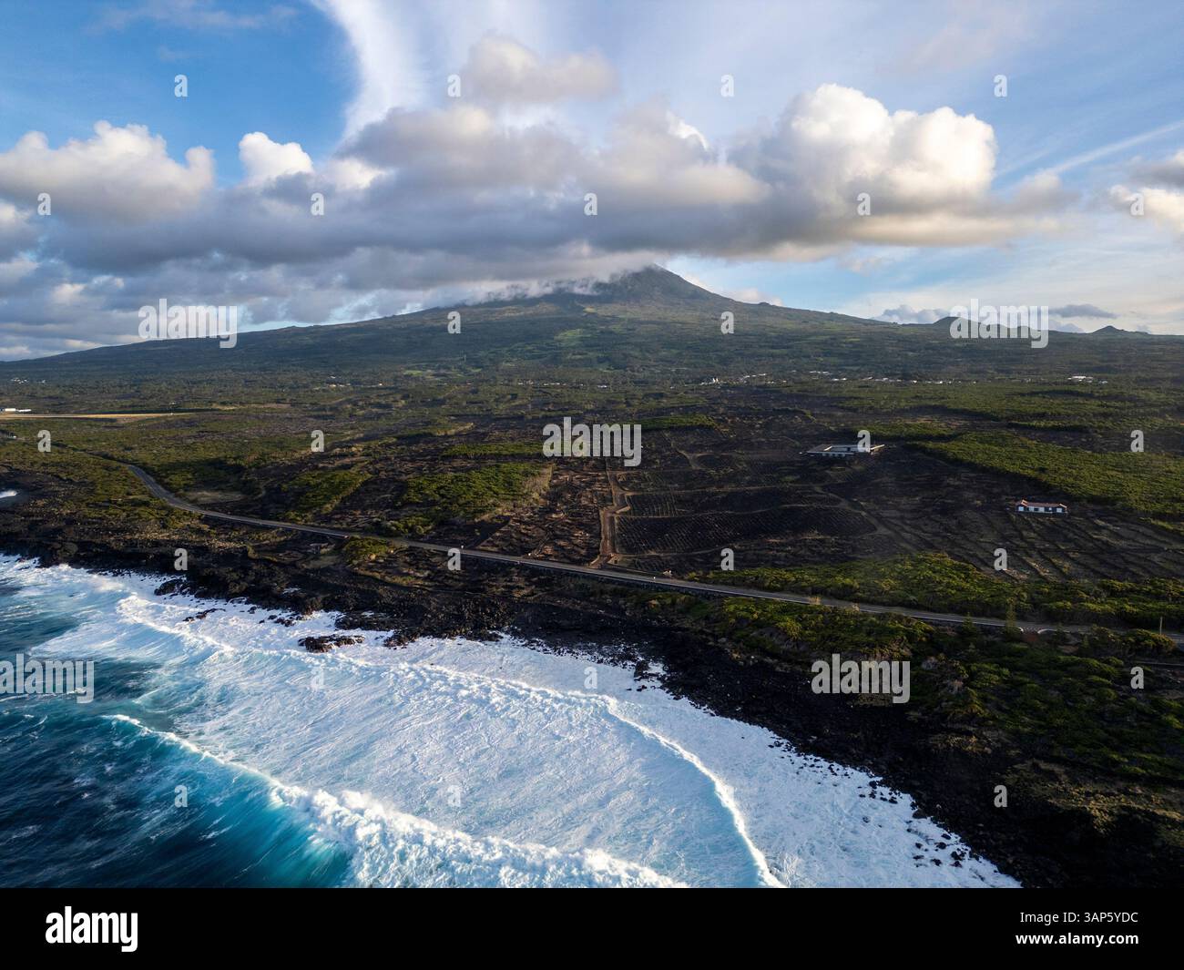 Aerial view of ancient volcanic vineyards along the rugged coast with ...