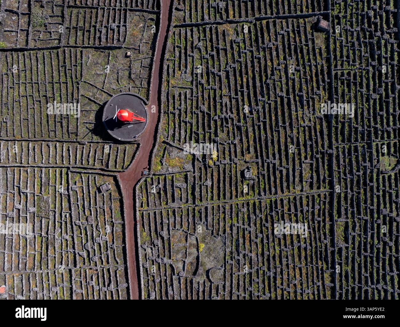 Aerial view of ancient volcanic vineyards with stone walls and circular ...