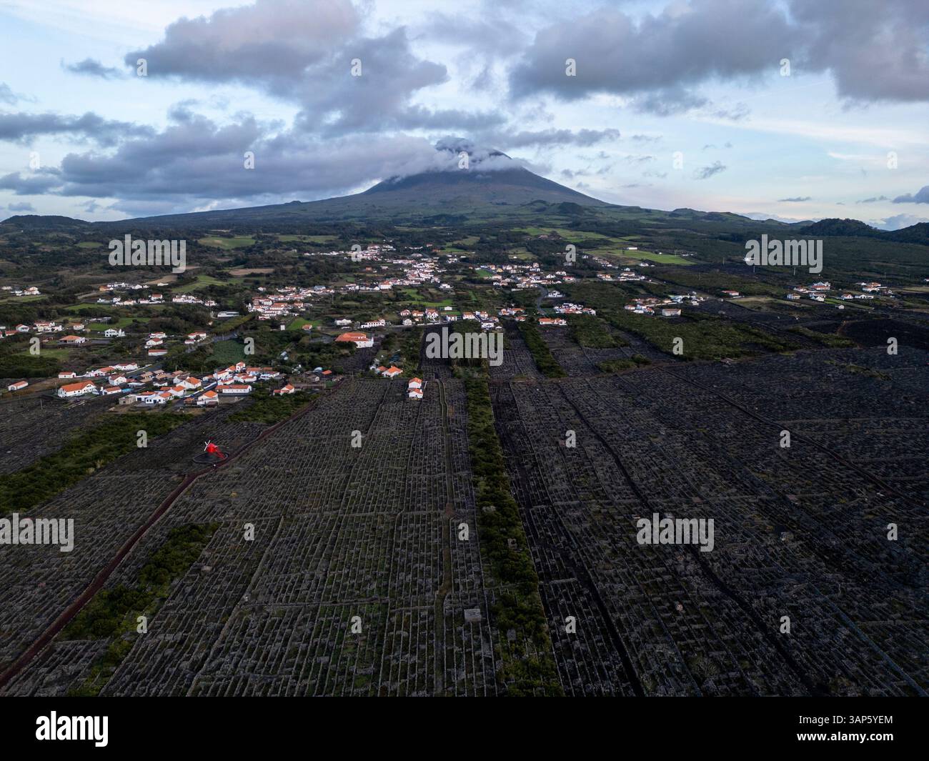 Aerial view of ancient volcanic vineyards with beautiful landscape and ...