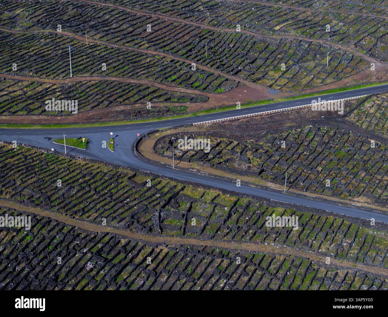 Aerial view of ancient volcanic vineyards with scenic patterns and lush ...