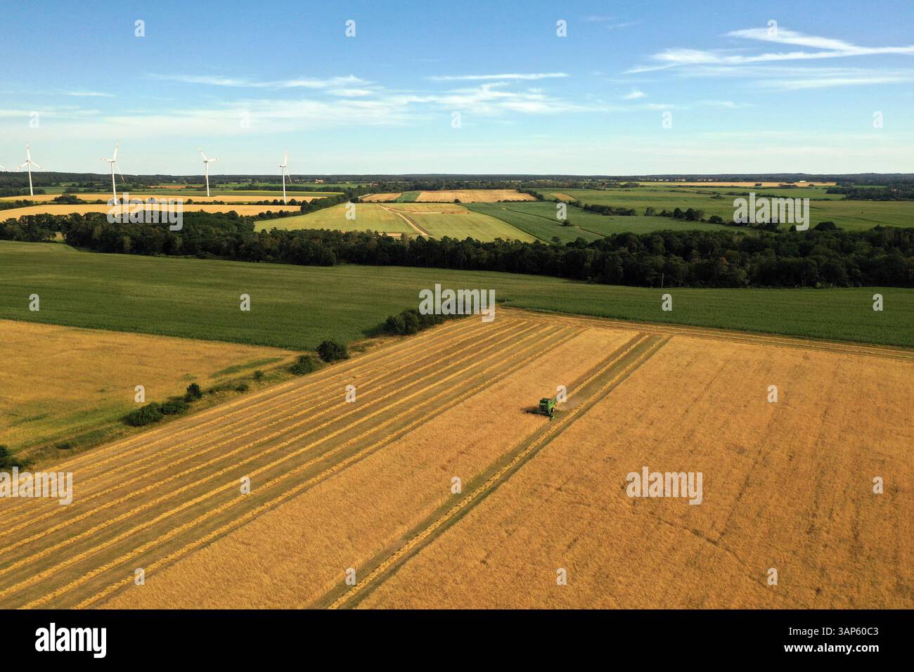 Aerial view of harvester and tractor during cereal harvest in ...