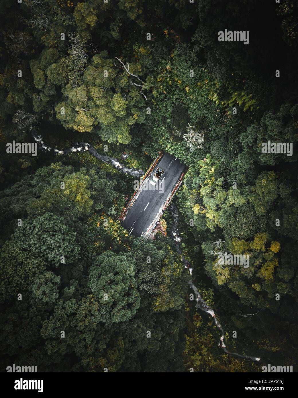 Aerial view of a pick-up vehicle driving a beautiful road among the ...