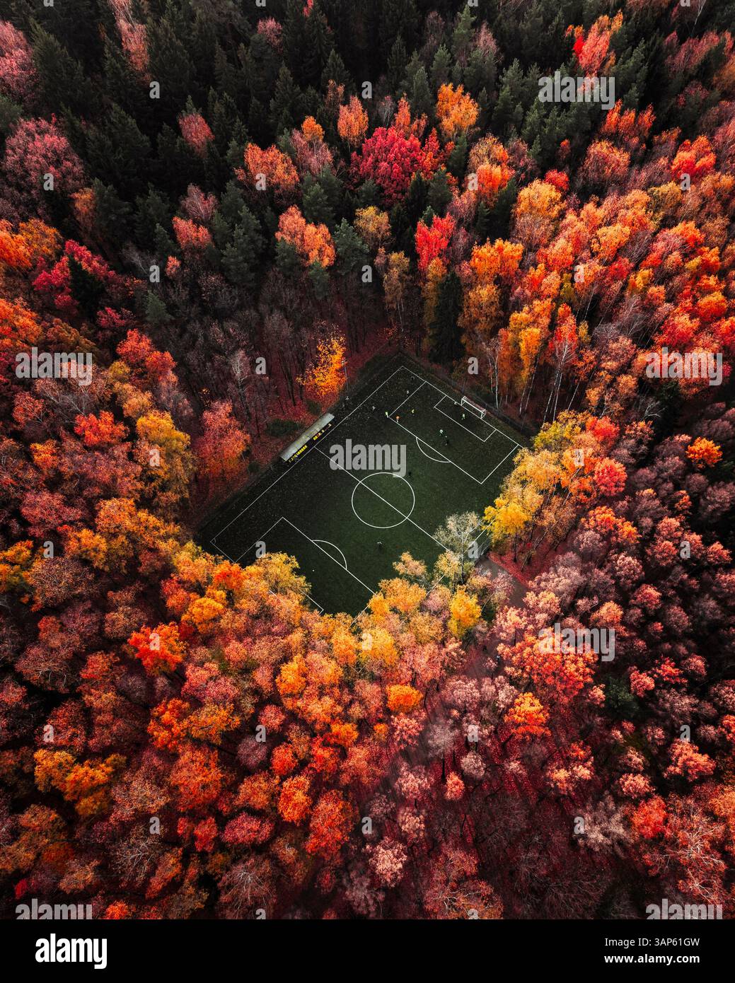 Meschersky park hi-res stock photography and images - Alamy