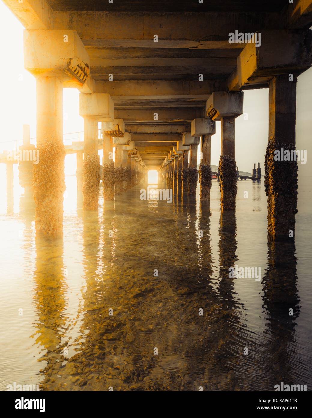 Aerial view of pier taken under the pier in Phuket, Thailand Stock ...